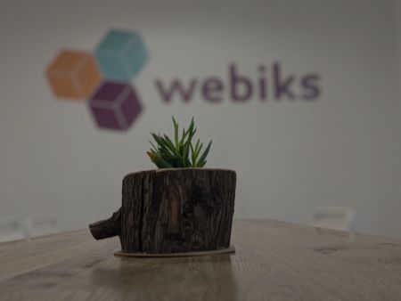 Webiks